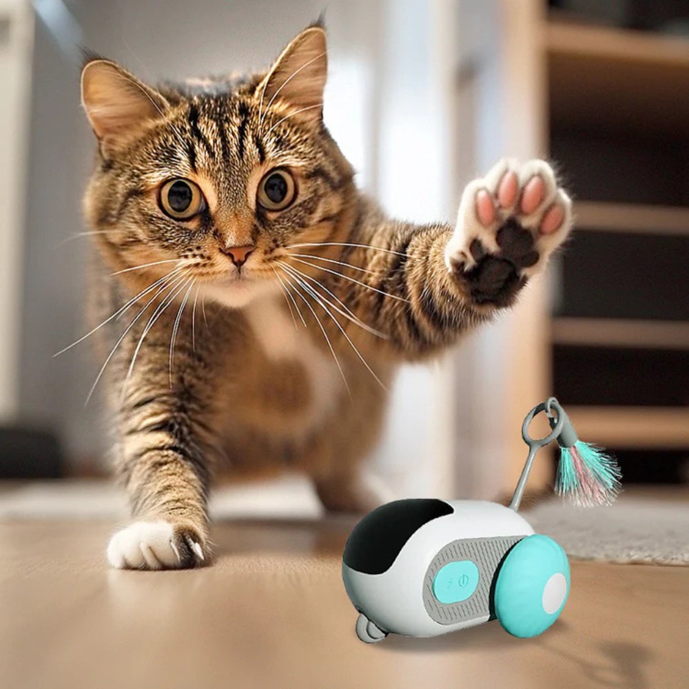 TurboChase • Interactive Cat Chase Toy